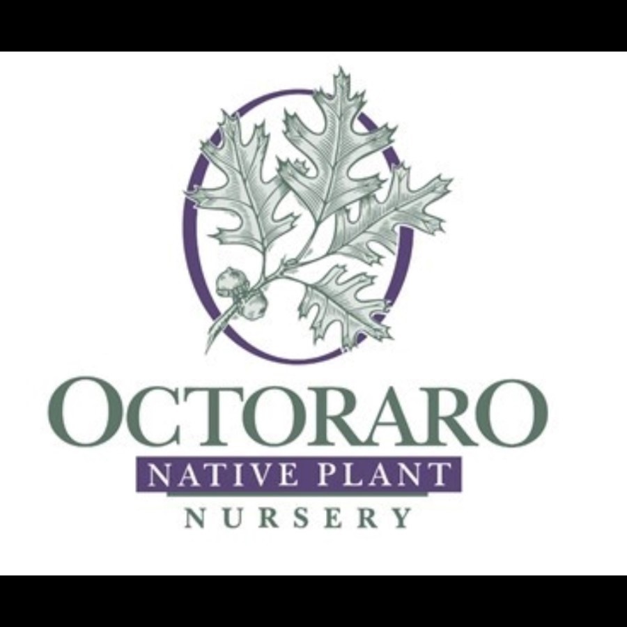 Octoraro Native Plant Nursery- $150 Gift Certificate